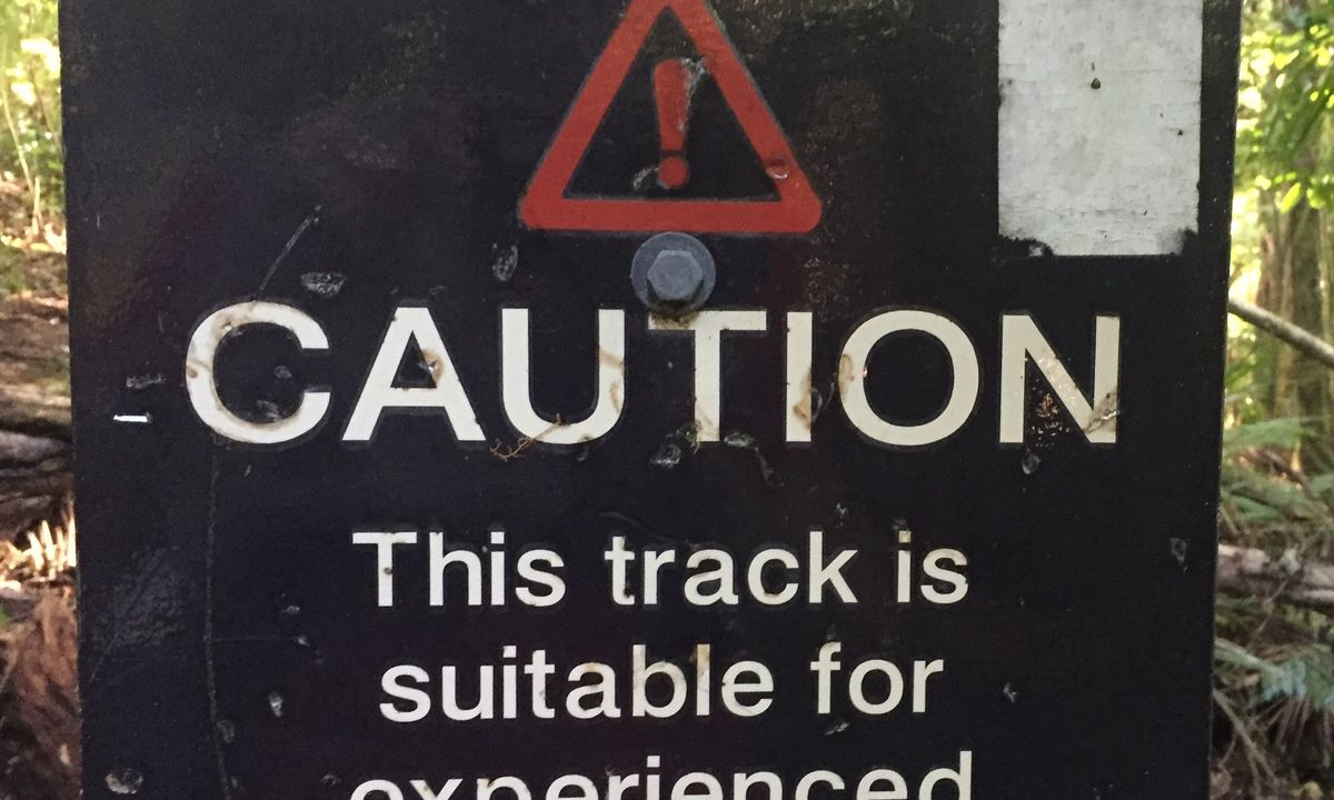 Cascade Kauri V2, Auckland - Trail Directory - Wild Things