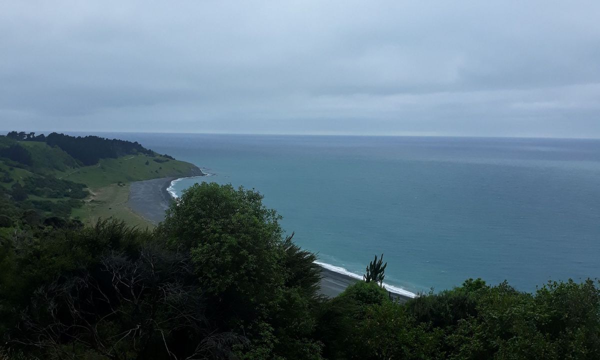 Manuka Bay Track, Canterbury - Trail Directory - Wild Things