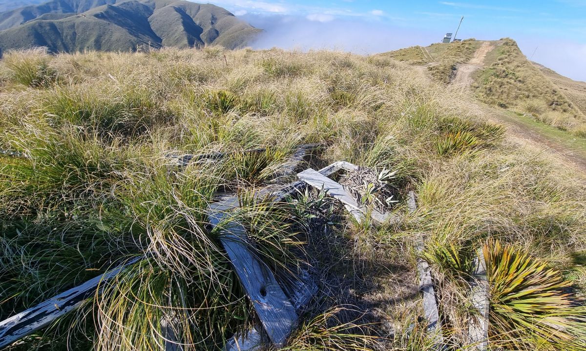 Mt. Shrives, Canterbury - Trail & Peak Directory - Wild Things