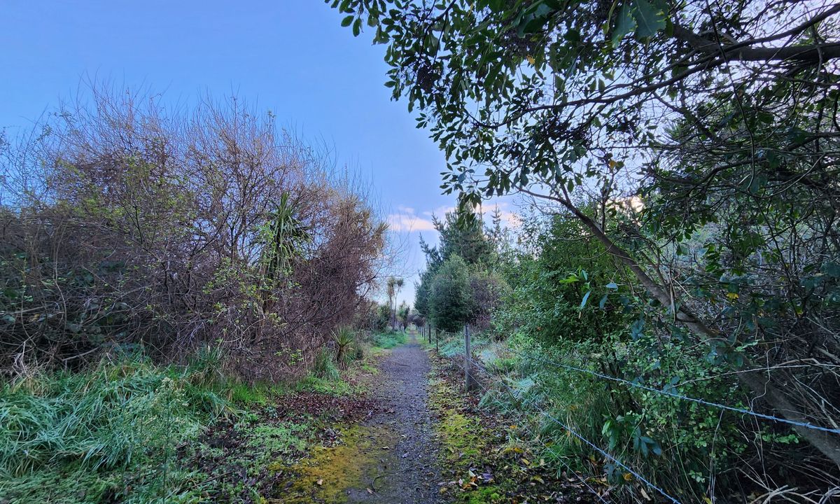 Amberley Beach, Wetlands Walkway to Waipara River Reserve, Canterbury ...