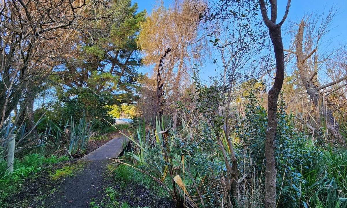 Amberley Beach, Wetlands Walkway to Waipara River Reserve, Canterbury ...