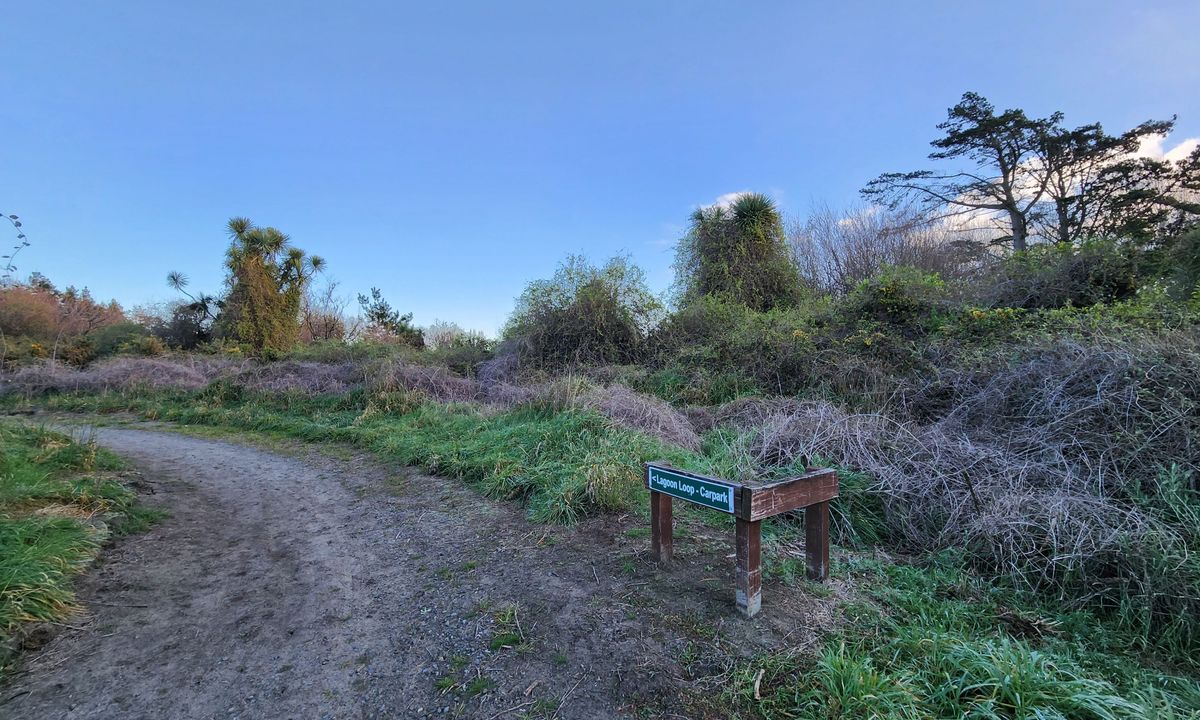 Amberley Beach, Wetlands Walkway to Waipara River Reserve, Canterbury ...