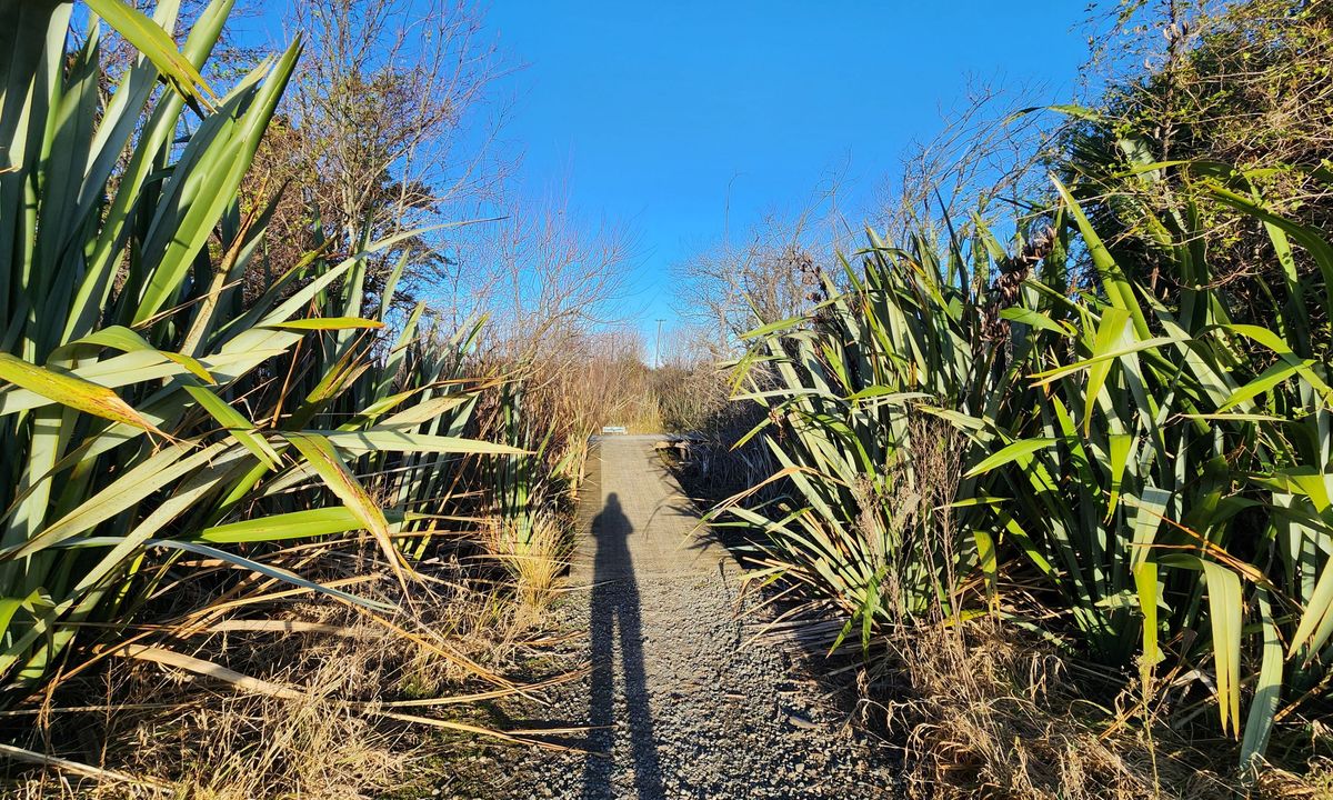 Amberley Beach, Wetlands Walkway to Waipara River Reserve, Canterbury ...