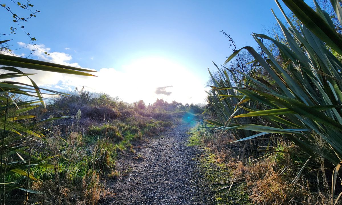 Amberley Beach, Wetlands Walkway to Waipara River Reserve, Canterbury ...