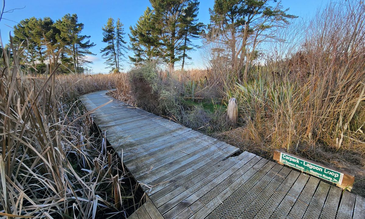 Amberley Beach, Wetlands Walkway to Waipara River Reserve, Canterbury ...