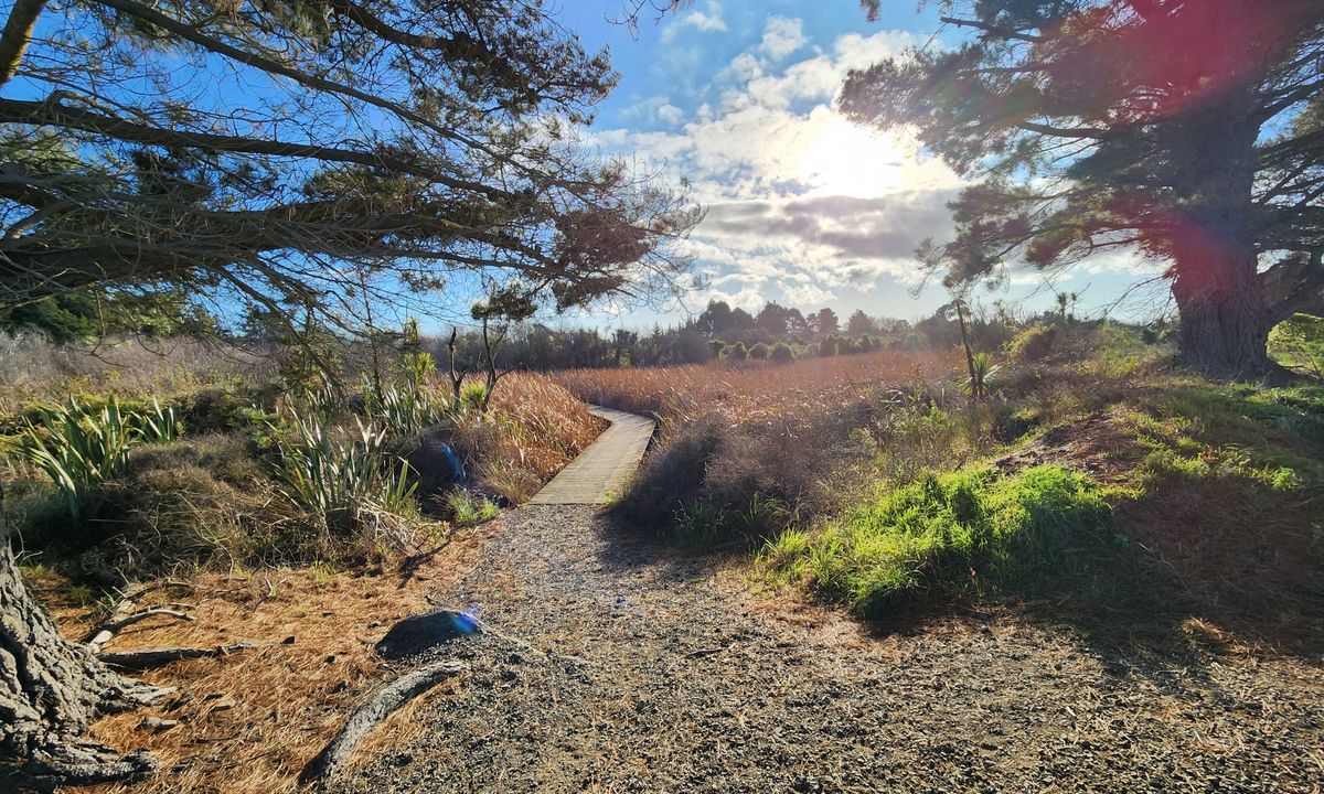 Amberley Beach, Wetlands Walkway to Waipara River Reserve, Canterbury ...