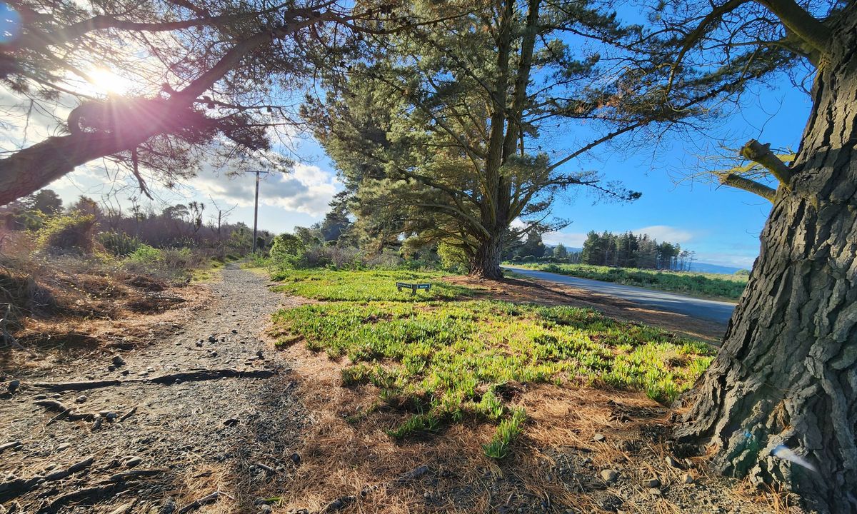 Amberley Beach, Wetlands Walkway to Waipara River Reserve, Canterbury ...