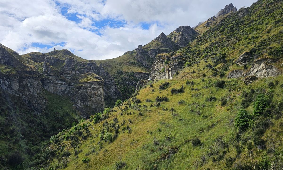 Atley Track, Otago - Trail Directory - Wild Things