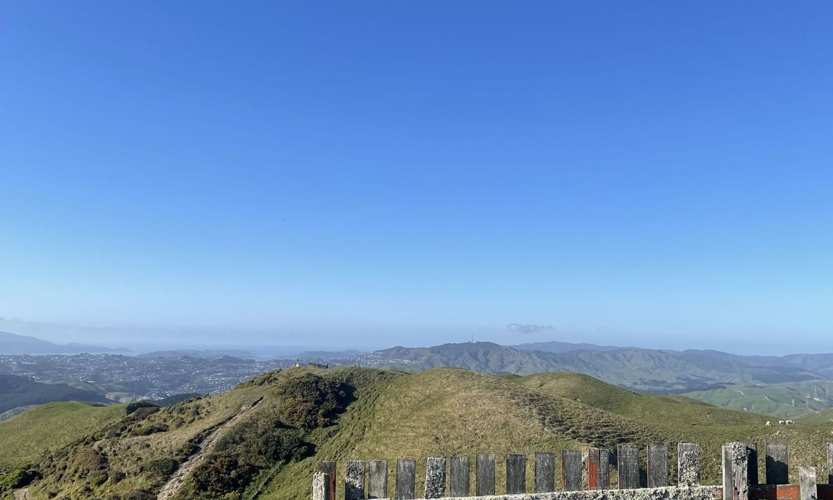 Colonial Knob, Wellington - Trail & Peak Directory - Wild Things