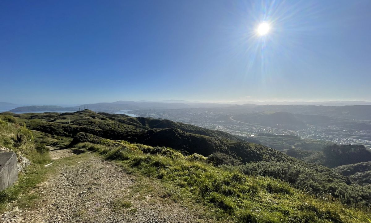 Colonial Knob, Wellington - Trail & Peak Directory - Wild Things