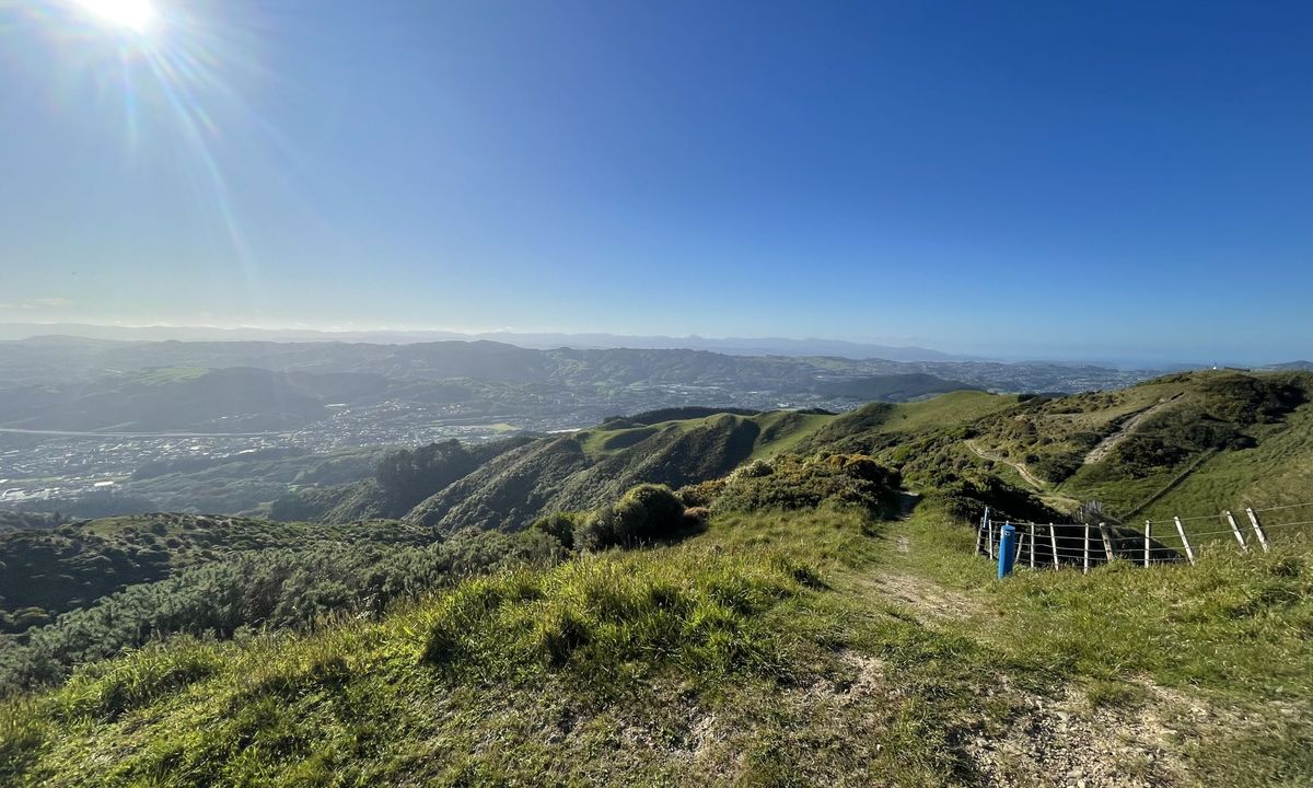 Colonial Knob, Wellington - Trail & Peak Directory - Wild Things