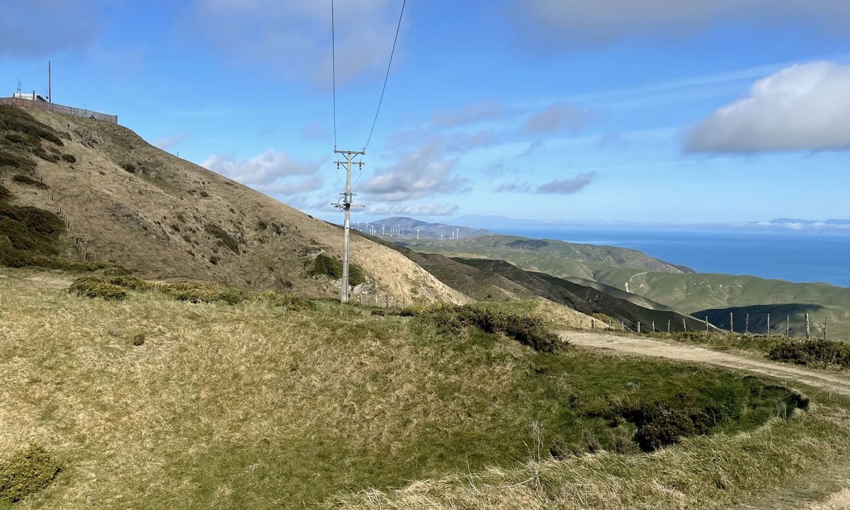 Colonial Knob, Wellington - Trail & Peak Directory - Wild Things