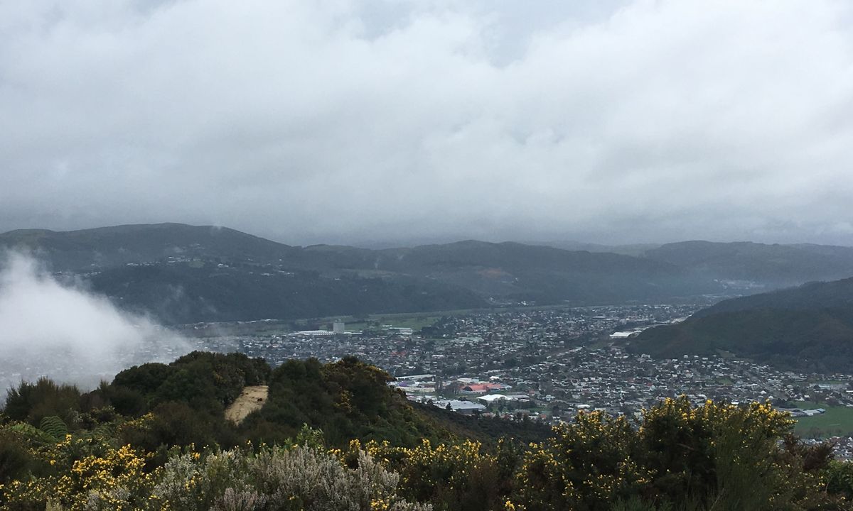 Te Whiti Riser, Wellington - Trail Directory - Wild Things