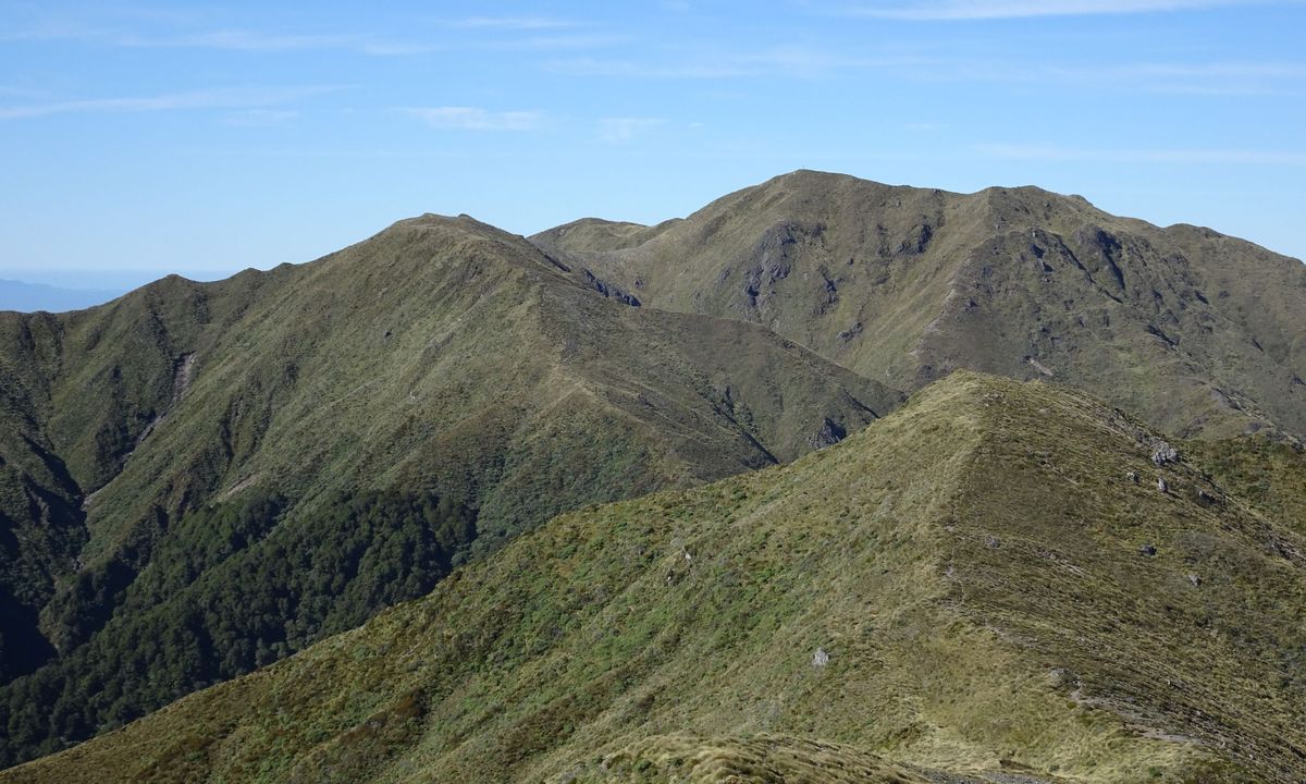 Mount Holdsworth, Wellington - Trail & Peak Directory - Wild Things