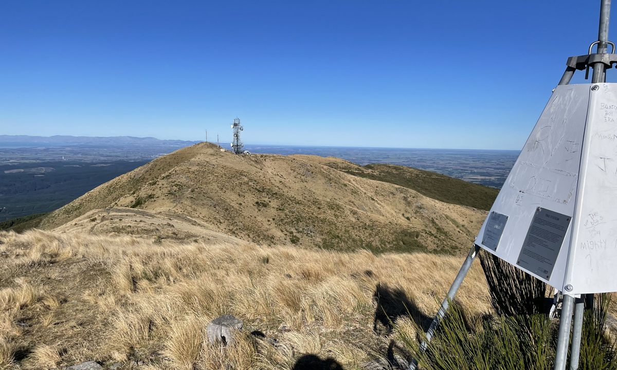 Double Mt Grey, Canterbury - Trail Directory - Wild Things