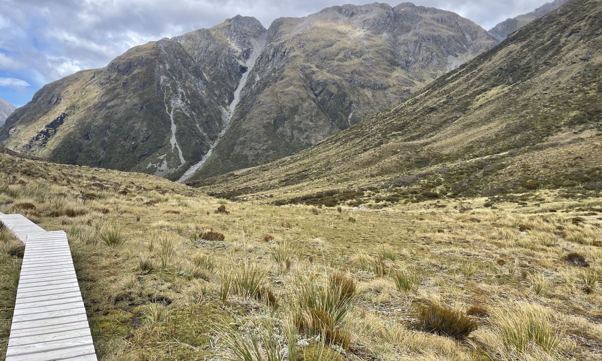 Goat Pass, Canterbury - Trail Directory - Wild Things