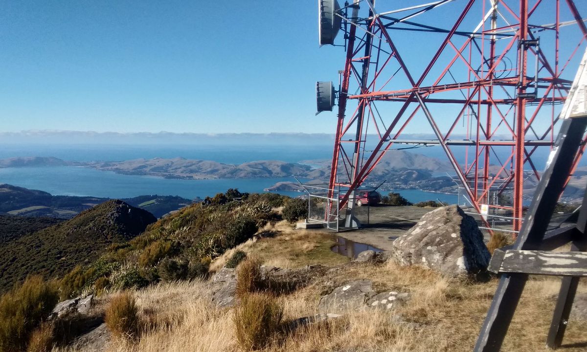Mount Cargill, Otago - Trail & Peak Directory - Wild Things