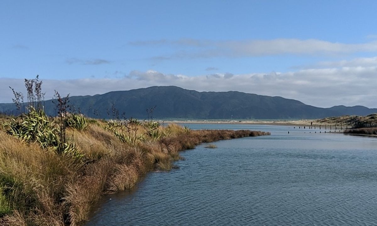 Waikanae River & Estuary, Wellington - Trail Directory - Wild Things