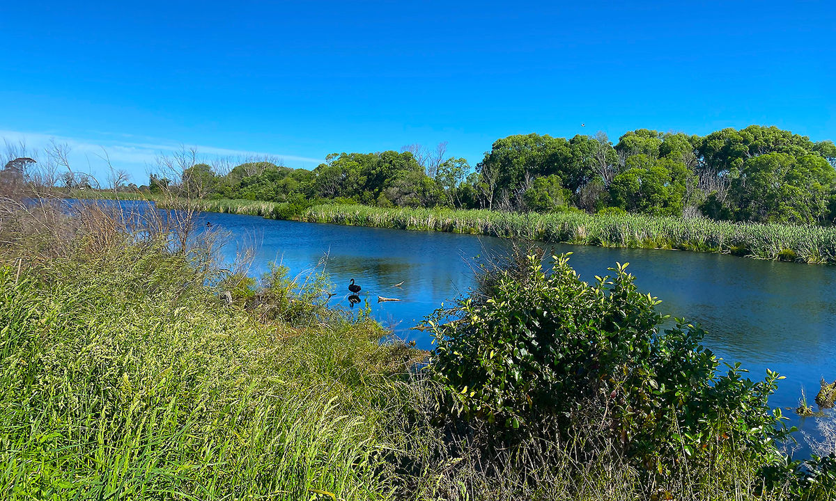 Lagoon-a-Seeker, Marlborough - Trail Directory - Wild Things