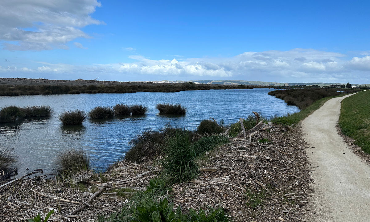 Clive Speed Loop, Hawkes Bay - Trail Directory - Wild Things