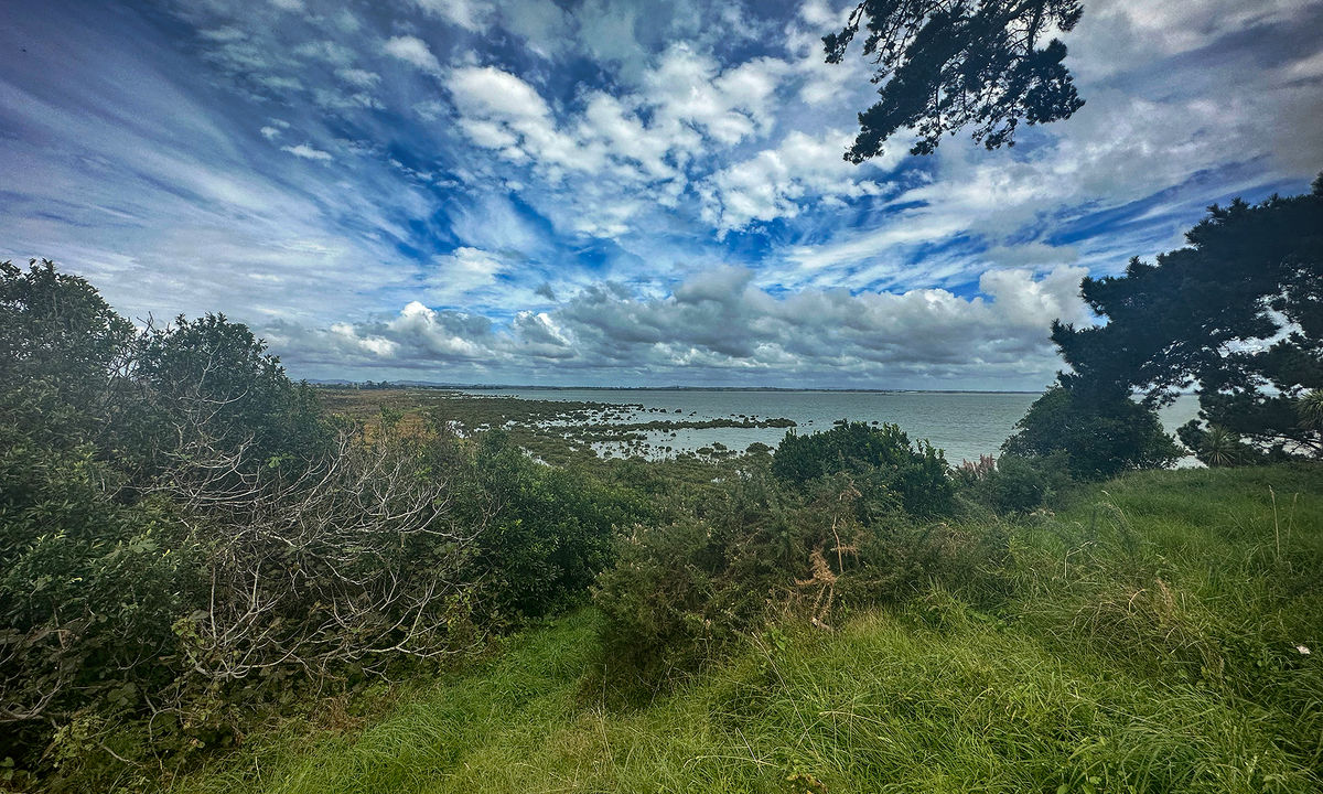 Puhinui - not just for Horses, Auckland - Trail Directory - Wild Things