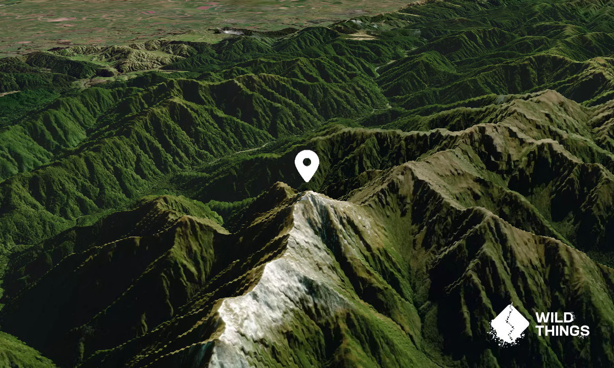 Mount Dundas, Manawatu - Wanganui - Trail & Peak Directory - Wild Things