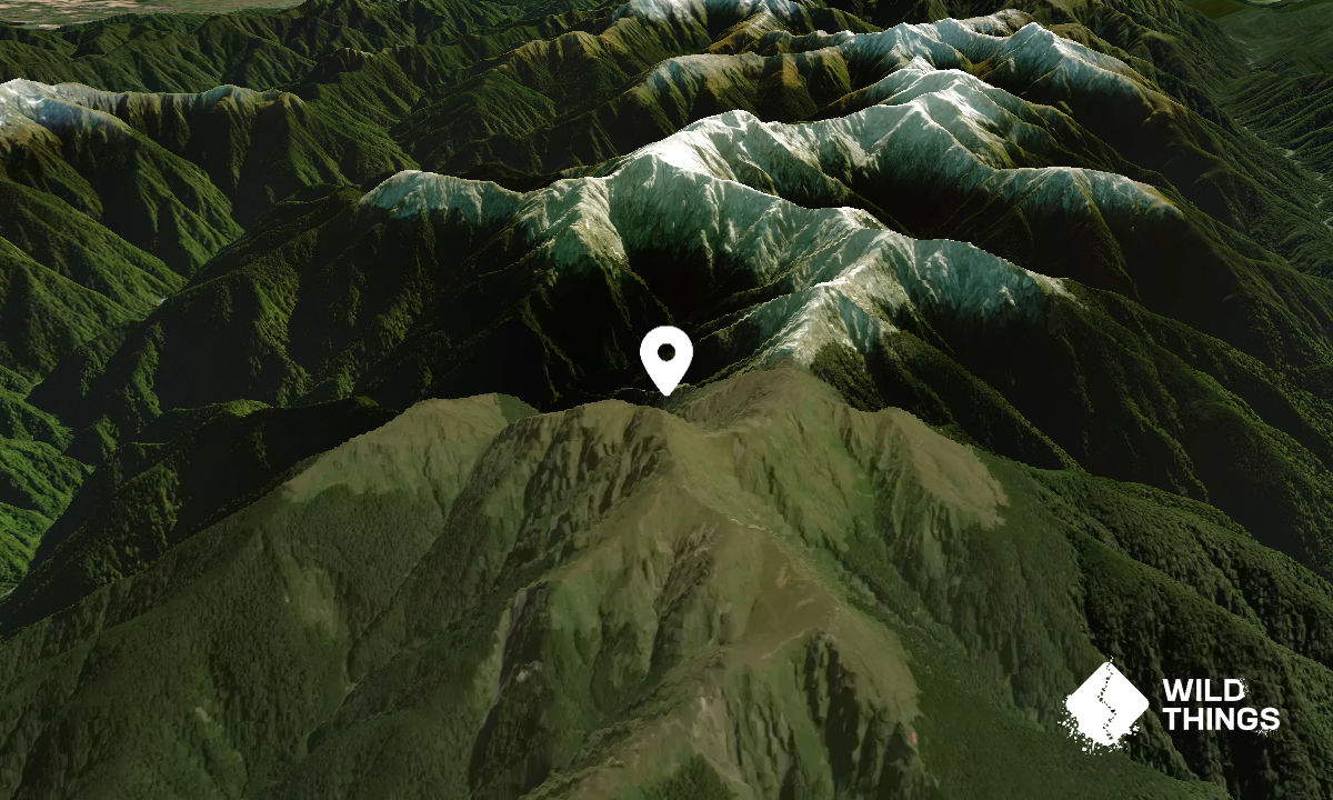 Mount Holdsworth, Wellington - Trail & Peak Directory - Wild Things