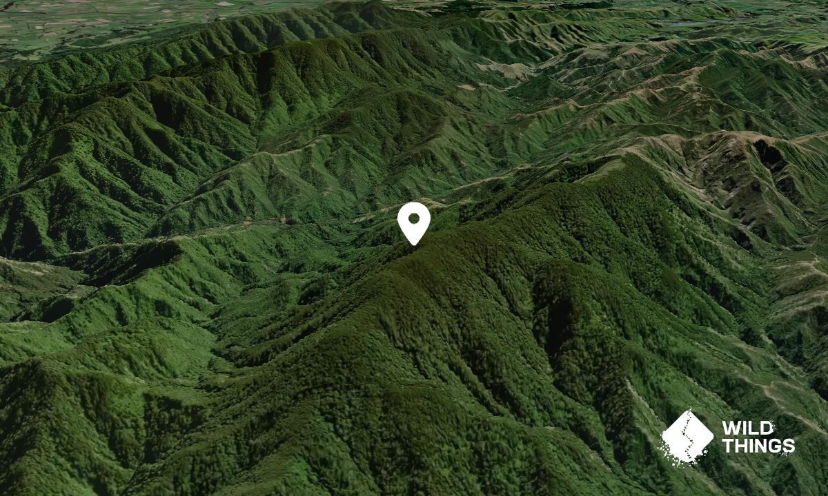 Mount Ross, Wellington - Trail & Peak Directory - Wild Things