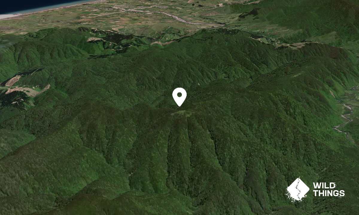 Pukeatua, Wellington - Trail & Peak Directory - Wild Things