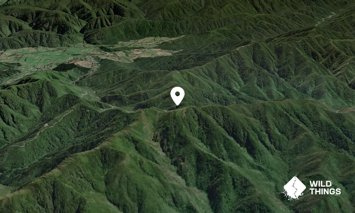 Remutaka, Wellington - Trail & Peak Directory - Wild Things