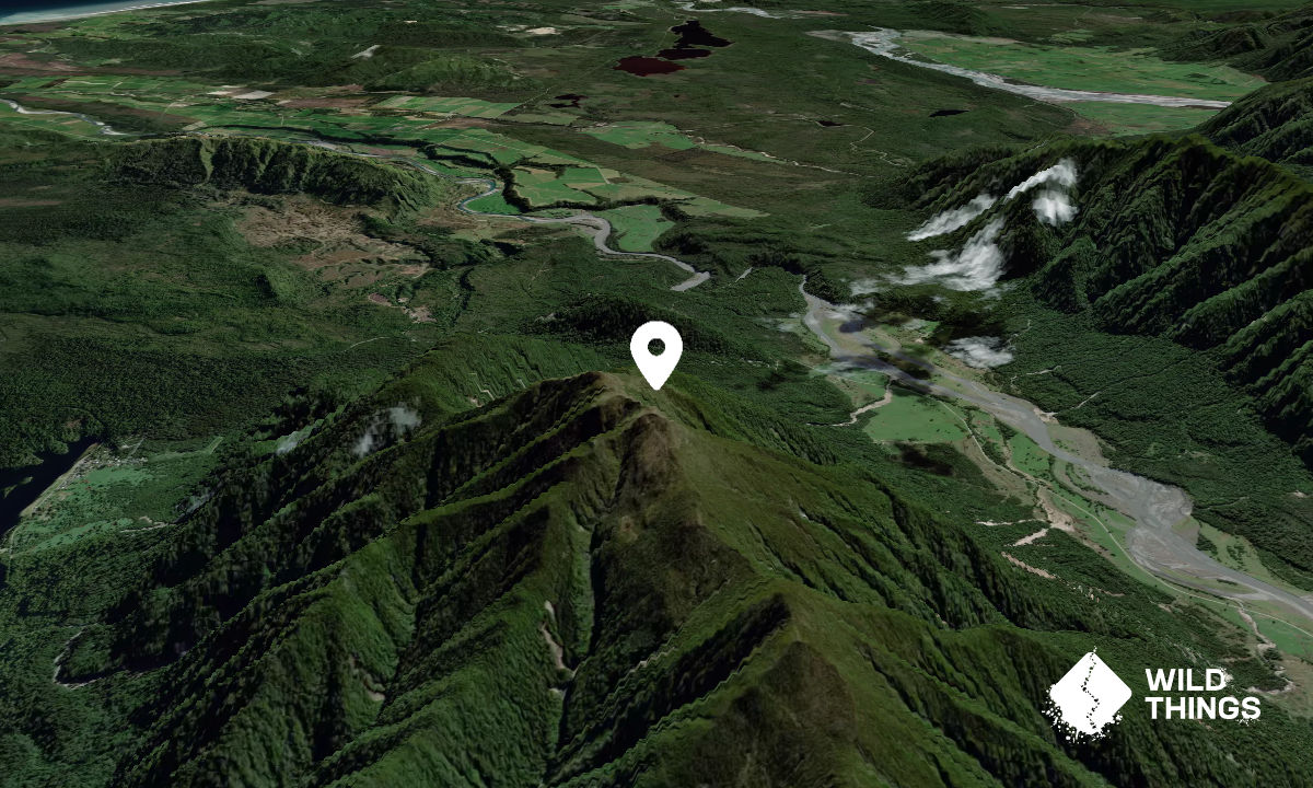 Tuhua, West Coast - Trail & Peak Directory - Wild Things