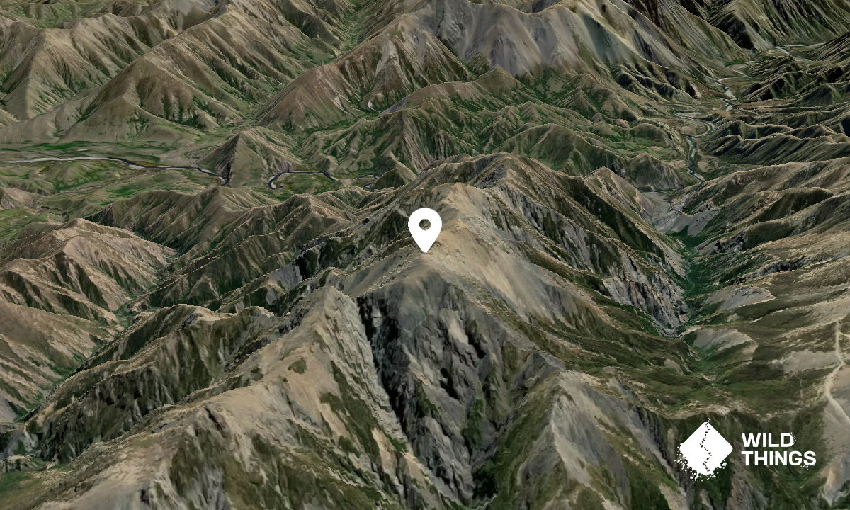 Mount Tinline, Marlborough - Trail & Peak Directory - Wild Things