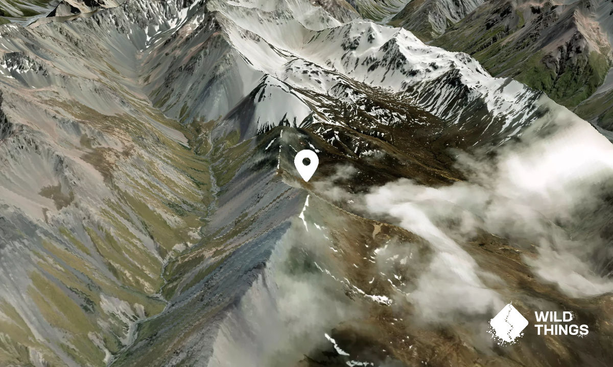 Observation Hill, Canterbury - Trail & Peak Directory - Wild Things