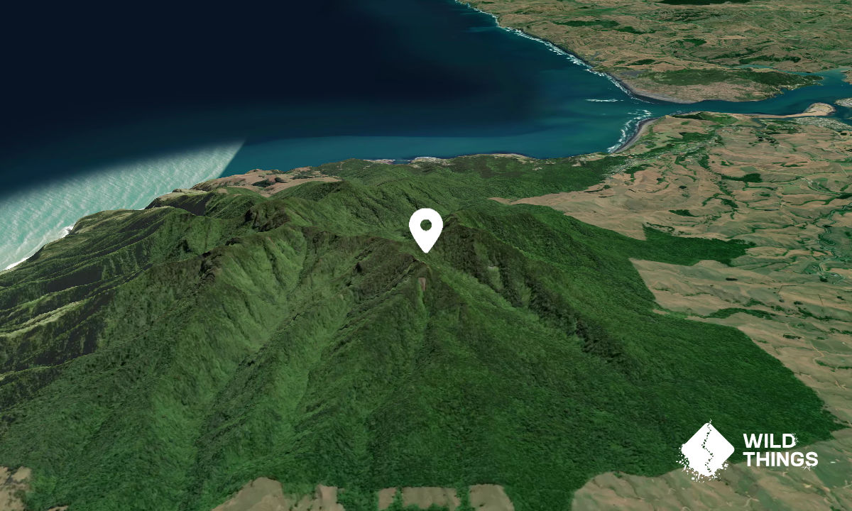 Mount Karioi, Waikato - Trail & Peak Directory - Wild Things