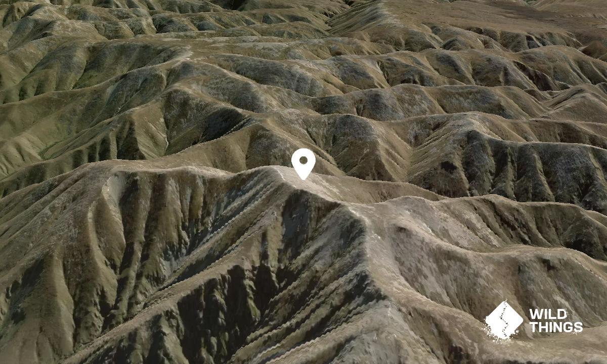 Mount Ida, Canterbury - Trail & Peak Directory - Wild Things