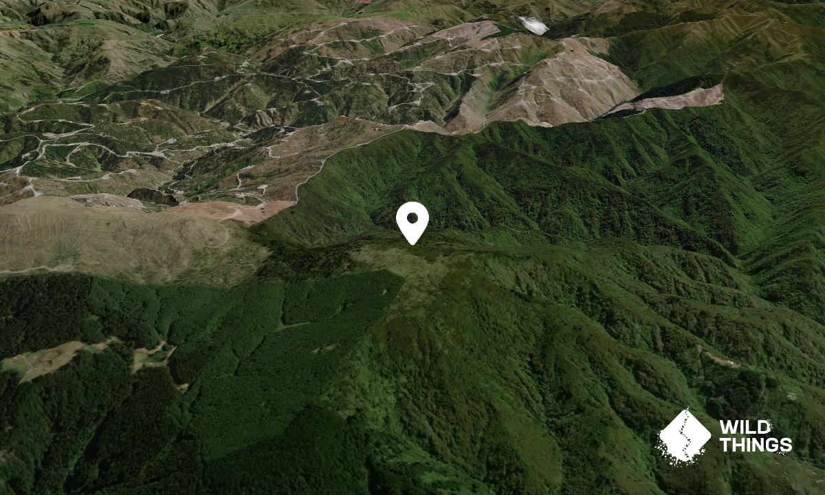 Powder Hill, Otago - Trail & Peak Directory - Wild Things