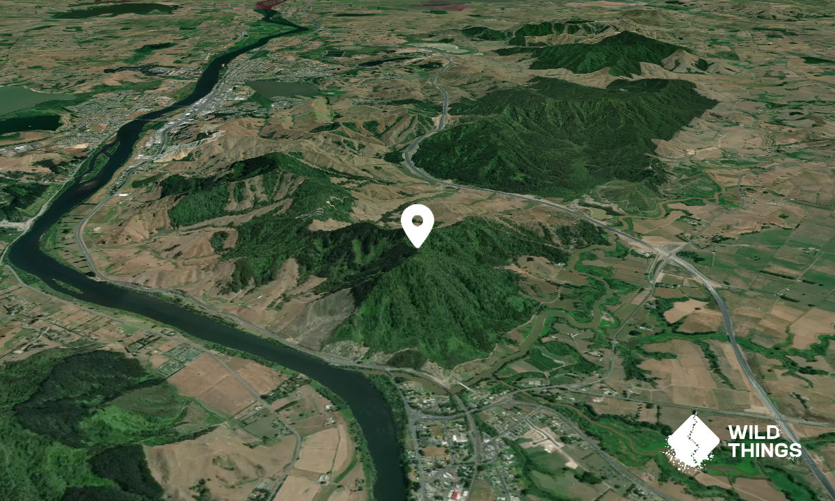 Taupiri, Waikato - Trail & Peak Directory - Wild Things