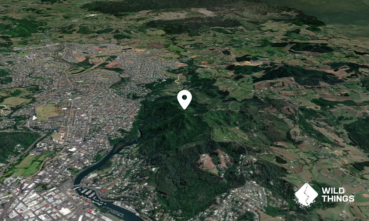 Parihaka, Northland - Trail & Peak Directory - Wild Things