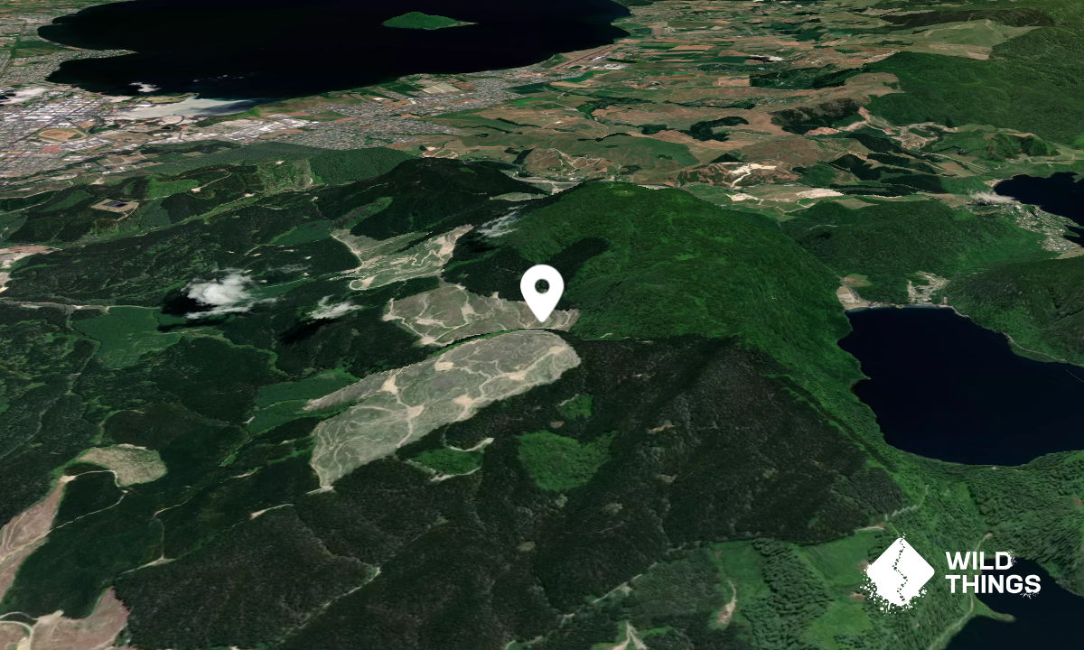 Moerangi, Bay of Plenty - Trail & Peak Directory - Wild Things