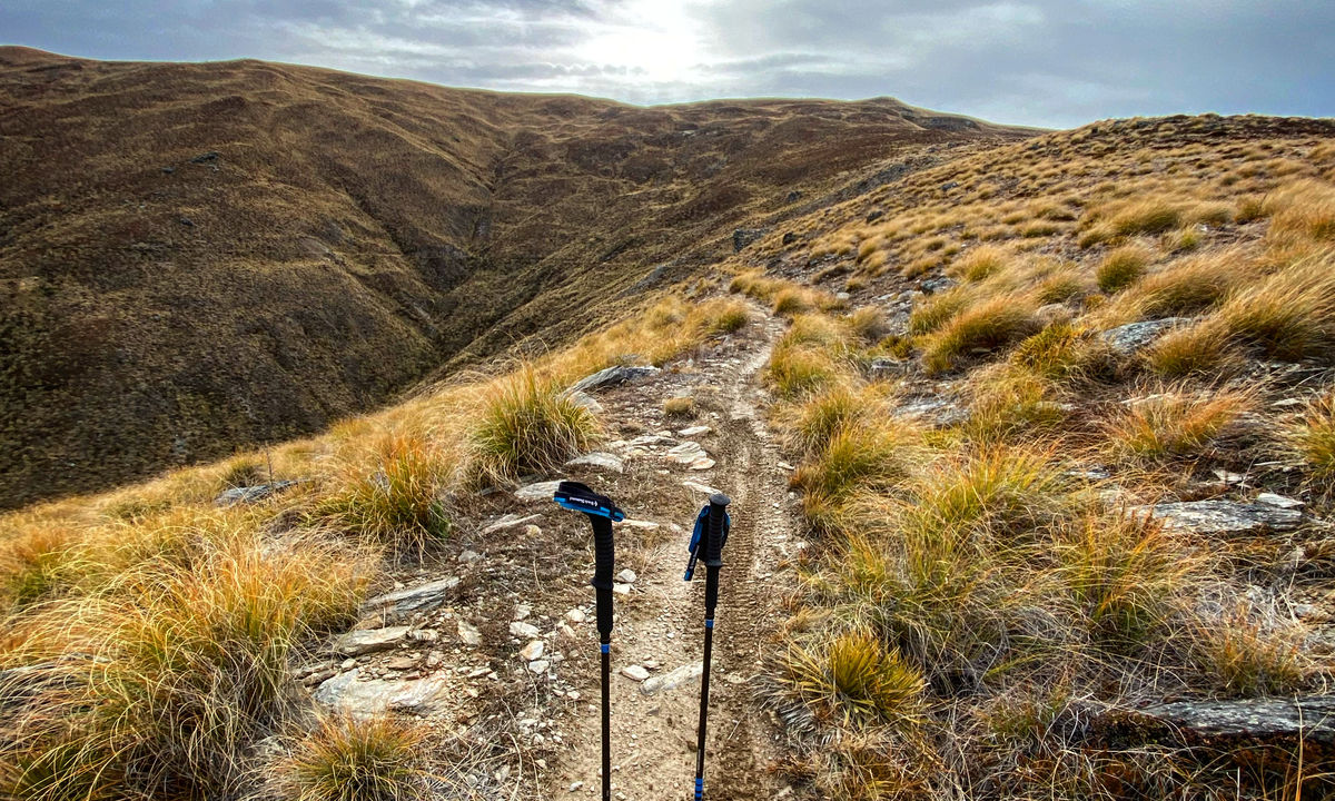 Glenroy Water Race Track, Otago - Trail Directory - Wild Things